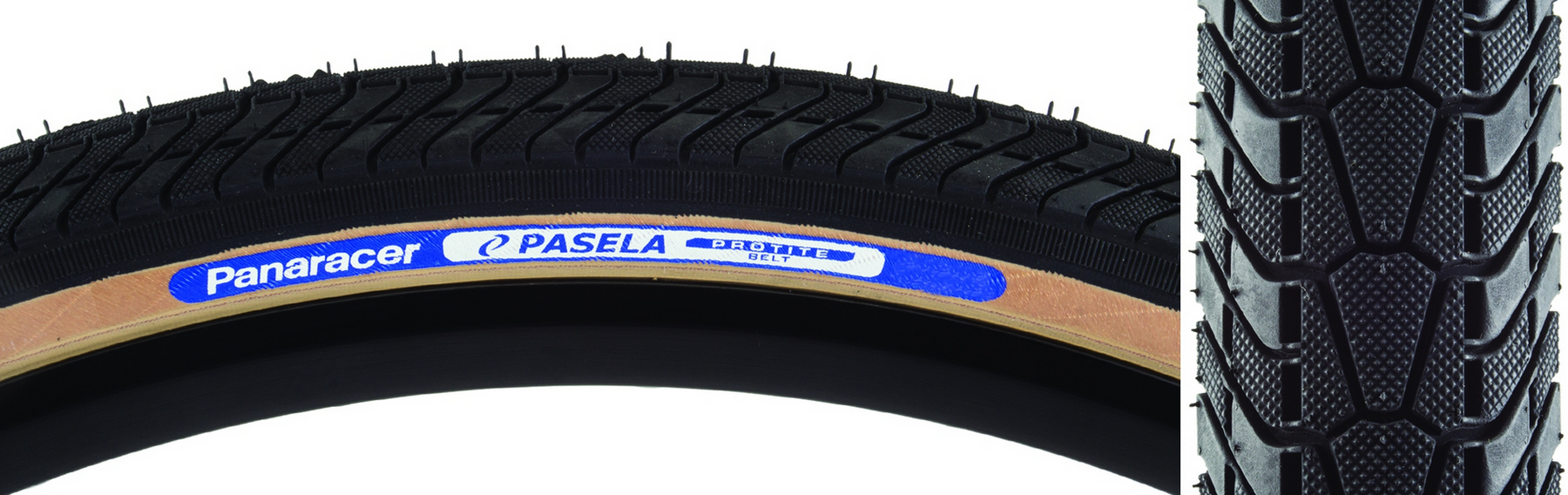 Panaracer Pasela Protite 26" Tire — Albe's BMX